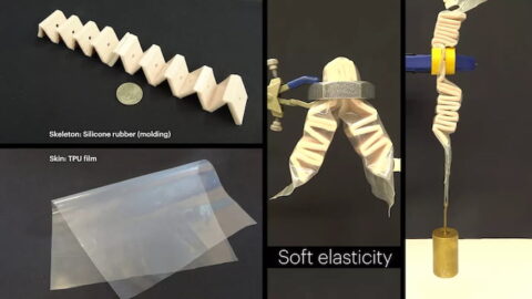 Soft Robotics: Examples, Research and Applications - Robotics24 Blog