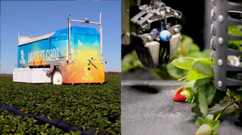 Agribot: Robotics is the key to agriculture 4.0 - Robotics24 Blog